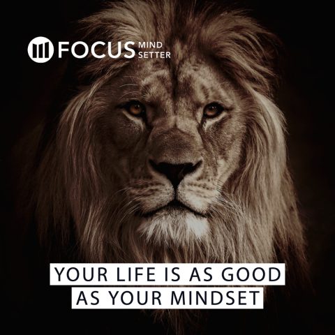 FOCUS MINDSETTER